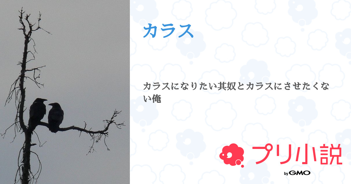 カラス 全34話 【連載中】（ぬんさんの小説） 無料スマホ夢小説ならプリ小説 Bygmo